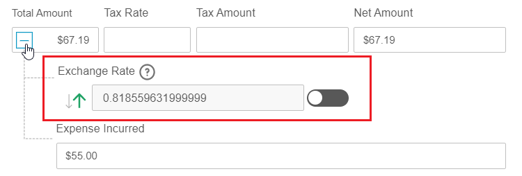 Editing a Multi-Currency Expense – BigTime Software