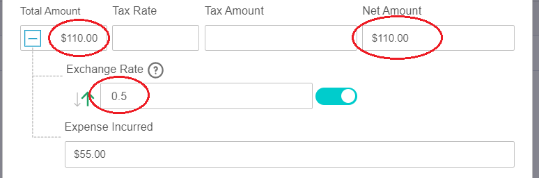 Editing a Multi-Currency Expense – BigTime Software
