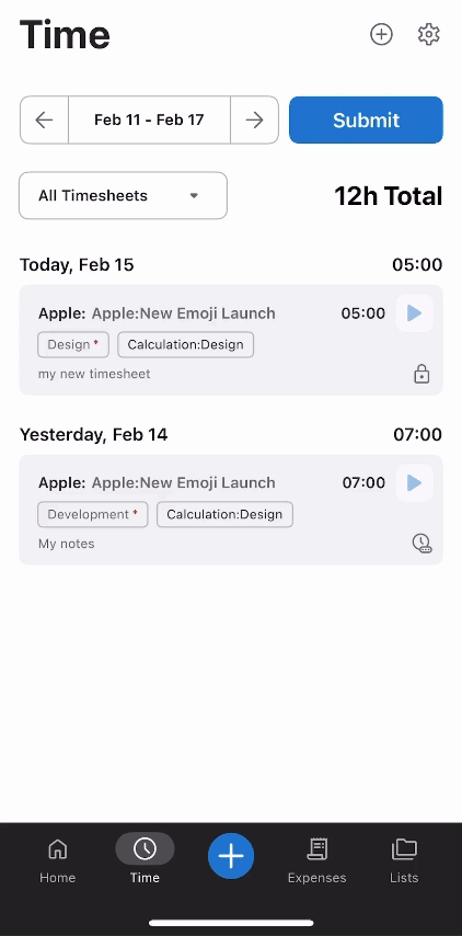 Entering and Submitting Time with BigTime Mobile – BigTime Software
